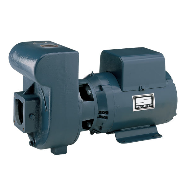 Sta-Rite DMG Self-Priming Pump 2 HP 230V | ePumps